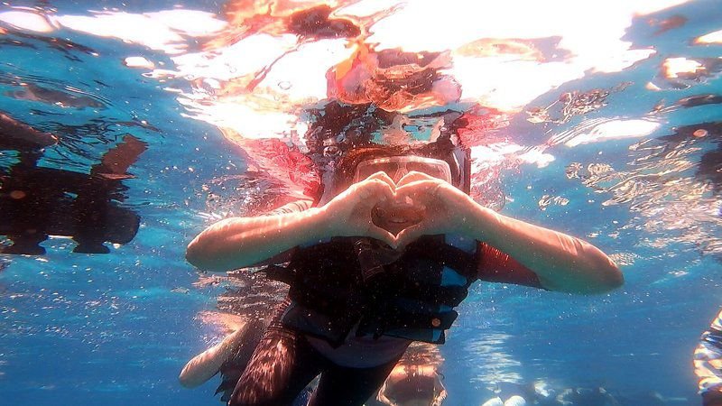 Samadai Dolphin Reef: Snorkel & Sea Adventure - Redsea-dream-tours.com